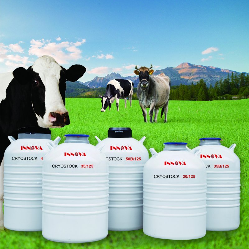 Liquid Nitrogen Container for Veterinary – LabStock